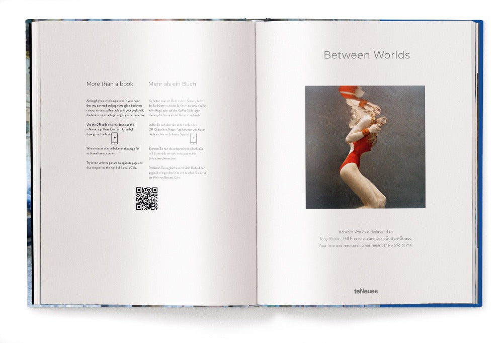 Barbara Cole at Bau-Xi Gallery | Barbara Cole Book: Between Worlds 2023 (208 pages)